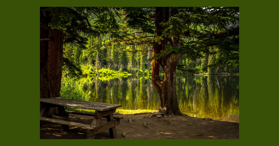 Drive on Over: 3 Great Spots for Taking Photos Near Chesapeake, VA ...